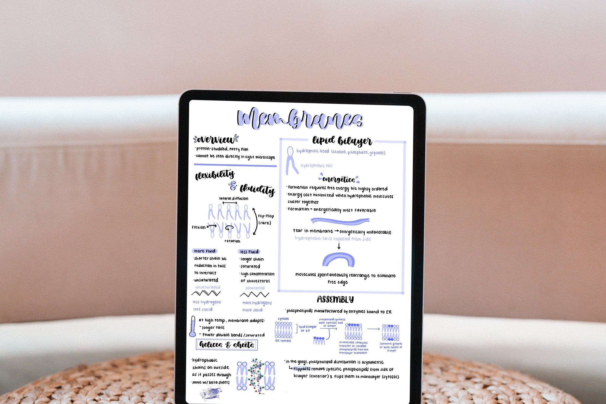 Cyberry Digital Notebook – KDigitalStudio